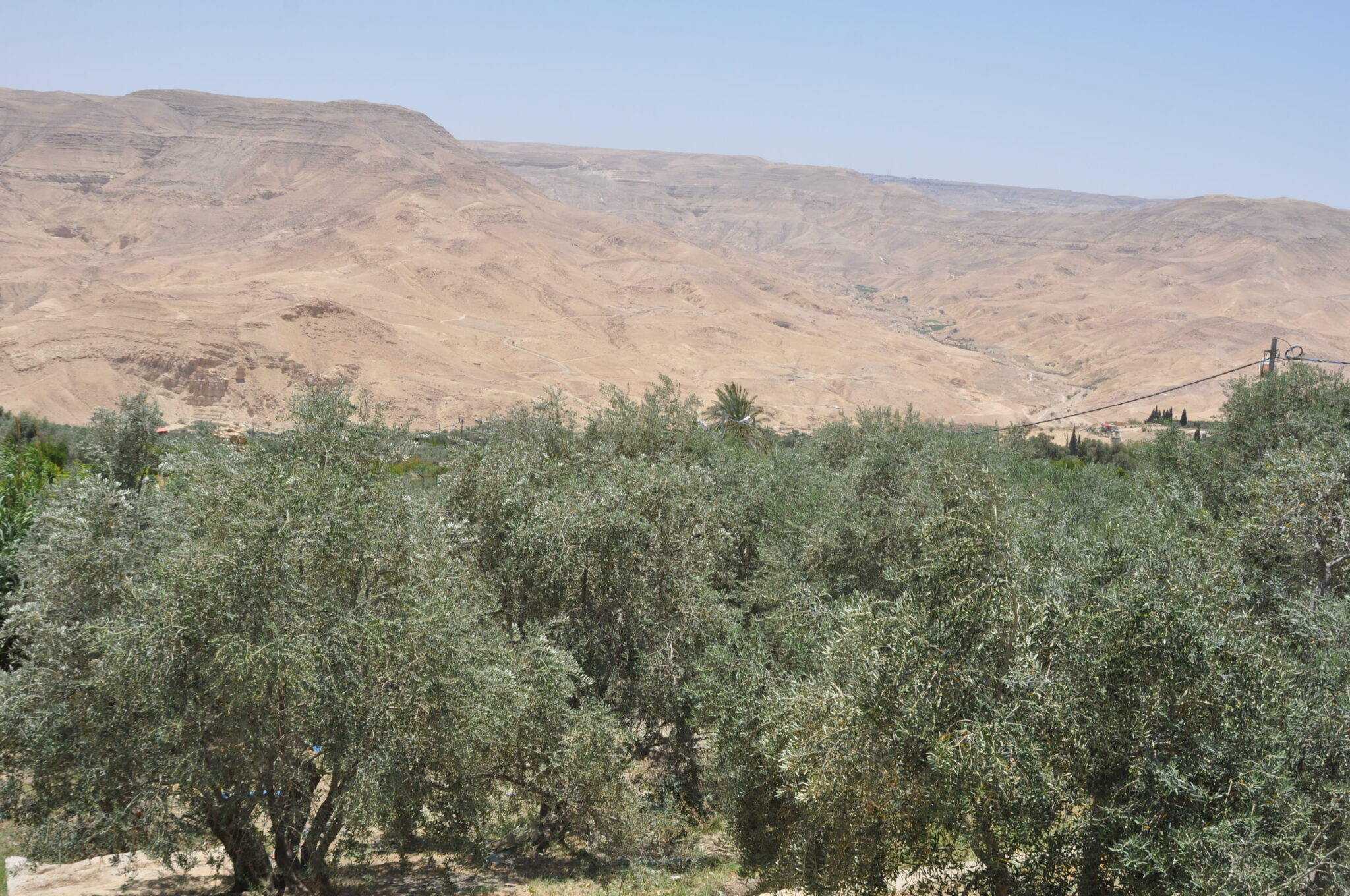 Sacred Landscapes’’: the Umayyad Syro-Jordanian Hajj Roads to Mecca and ...